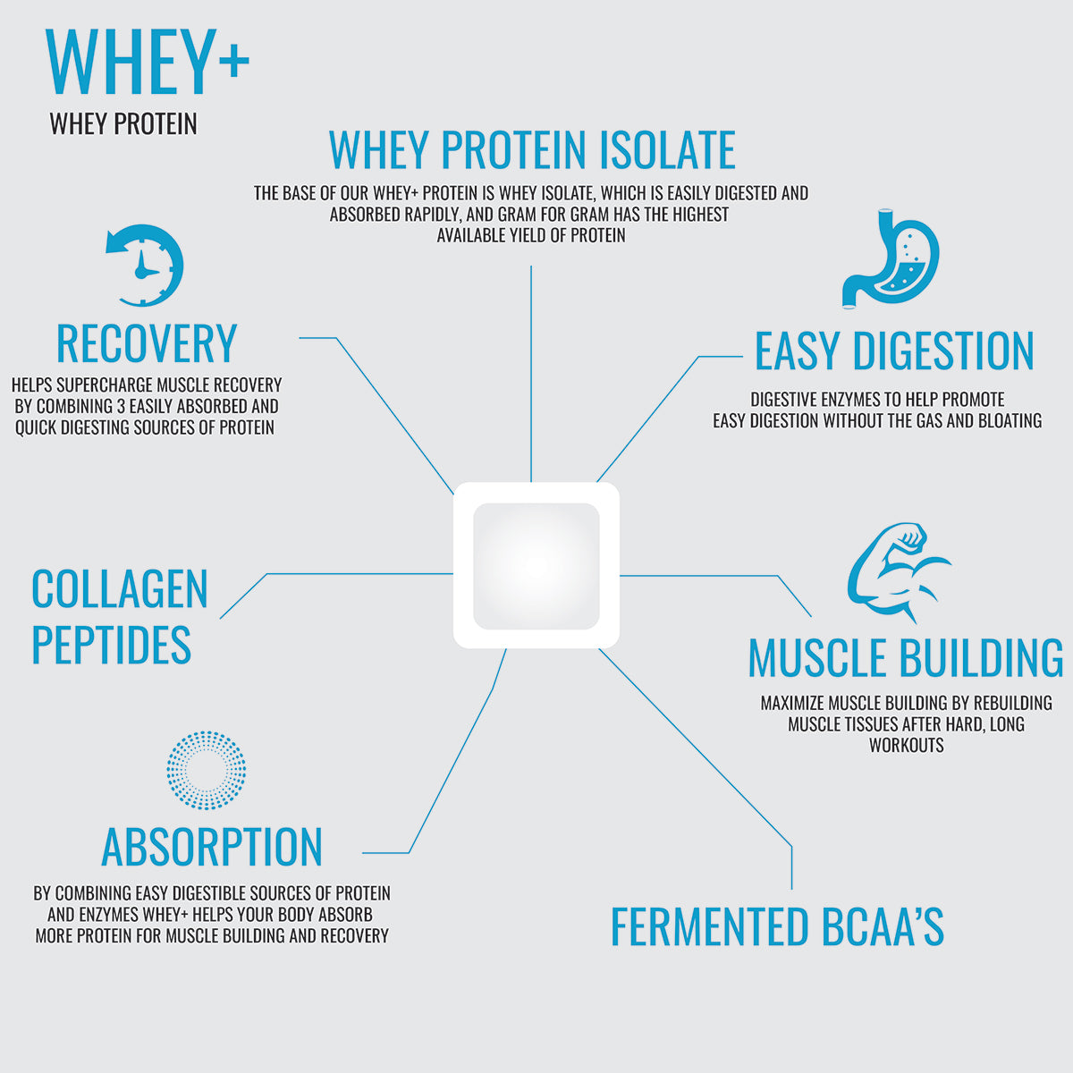Whey + Superior Absorption Whey Protein - Whey Isolate, Collagen ...